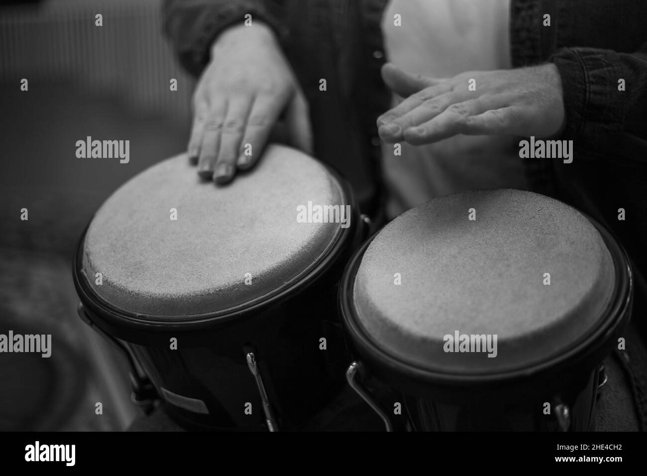Bongos bongo Black and White Stock Photos & Images - Alamy