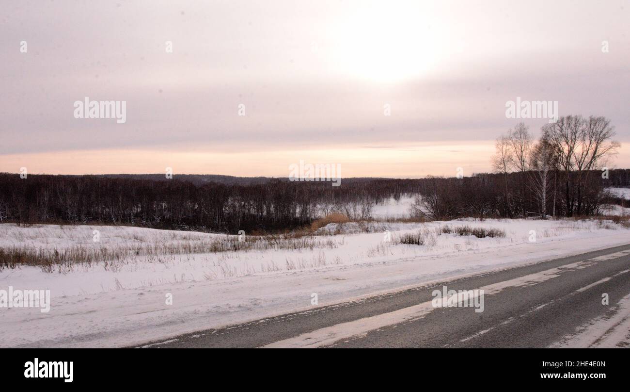 An asphalt road going through a snow-covered field and a birch forest ...