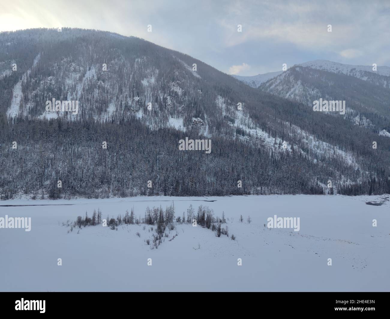 Beautiful shot of snow on a mountain surrounded by a forest in Xinjiang ...