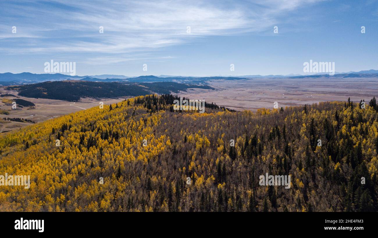 Denver trees hi-res stock photography and images - Alamy