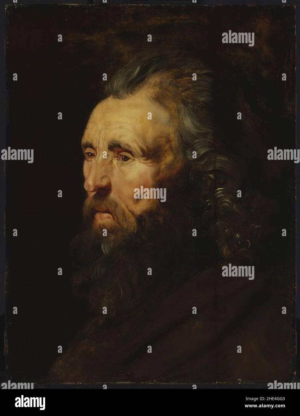 Rubens - Study of a Man's Head Stock Photo - Alamy