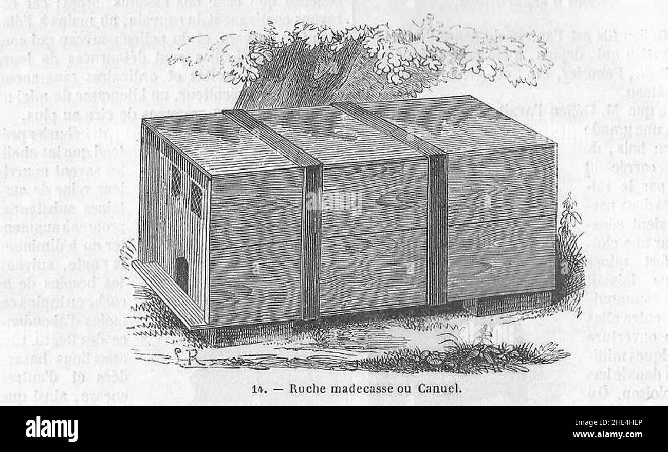 Canuel hi-res stock photography and images - Alamy