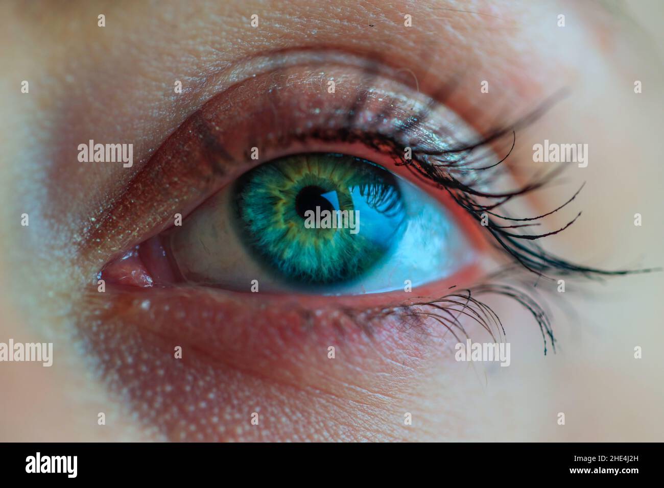 Closeup shot of a human eye Stock Photo - Alamy