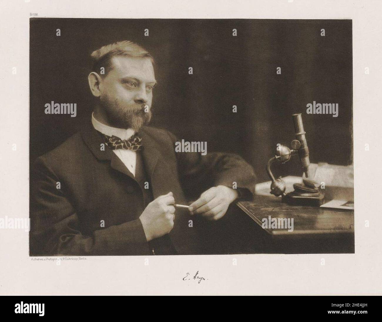 Heyn hi-res stock photography and images - Alamy