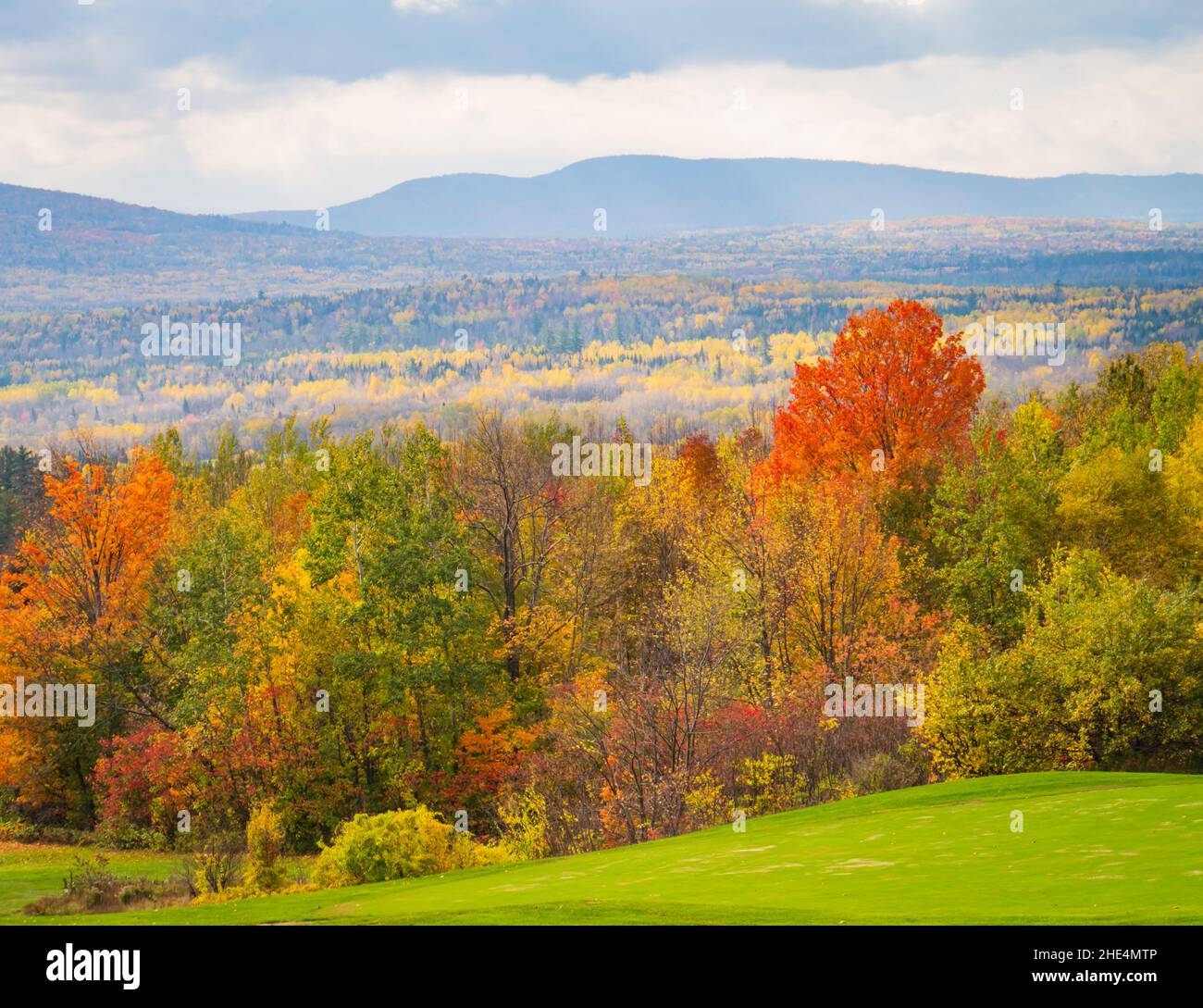 autumn foliage colors brighten up the landscape in the countryside ...