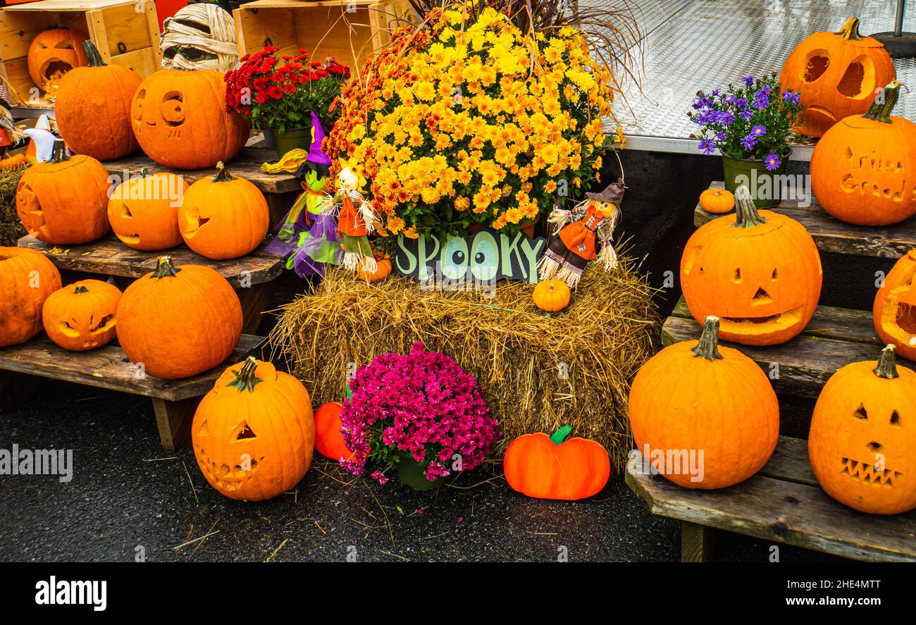 pumpkin festival in a town to celebrate Halloween Stock Photo - Alamy