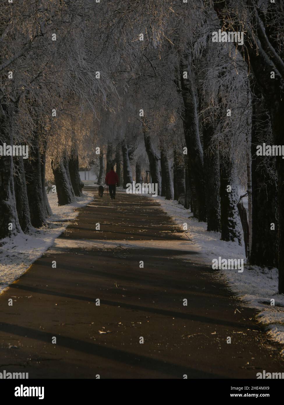 Alley with snow hi-res stock photography and images - Alamy