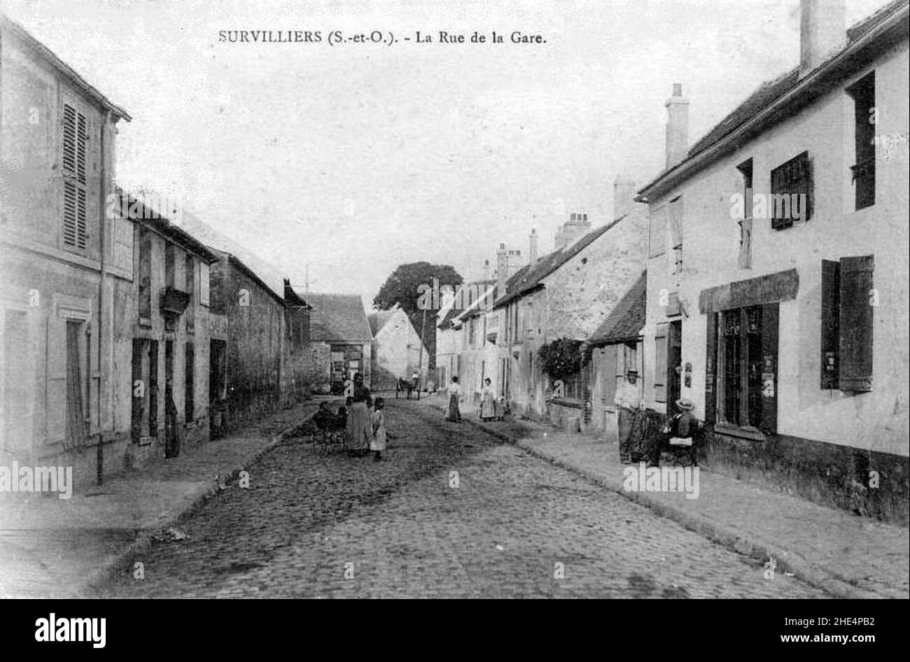 Du houx hi-res stock photography and images - Alamy