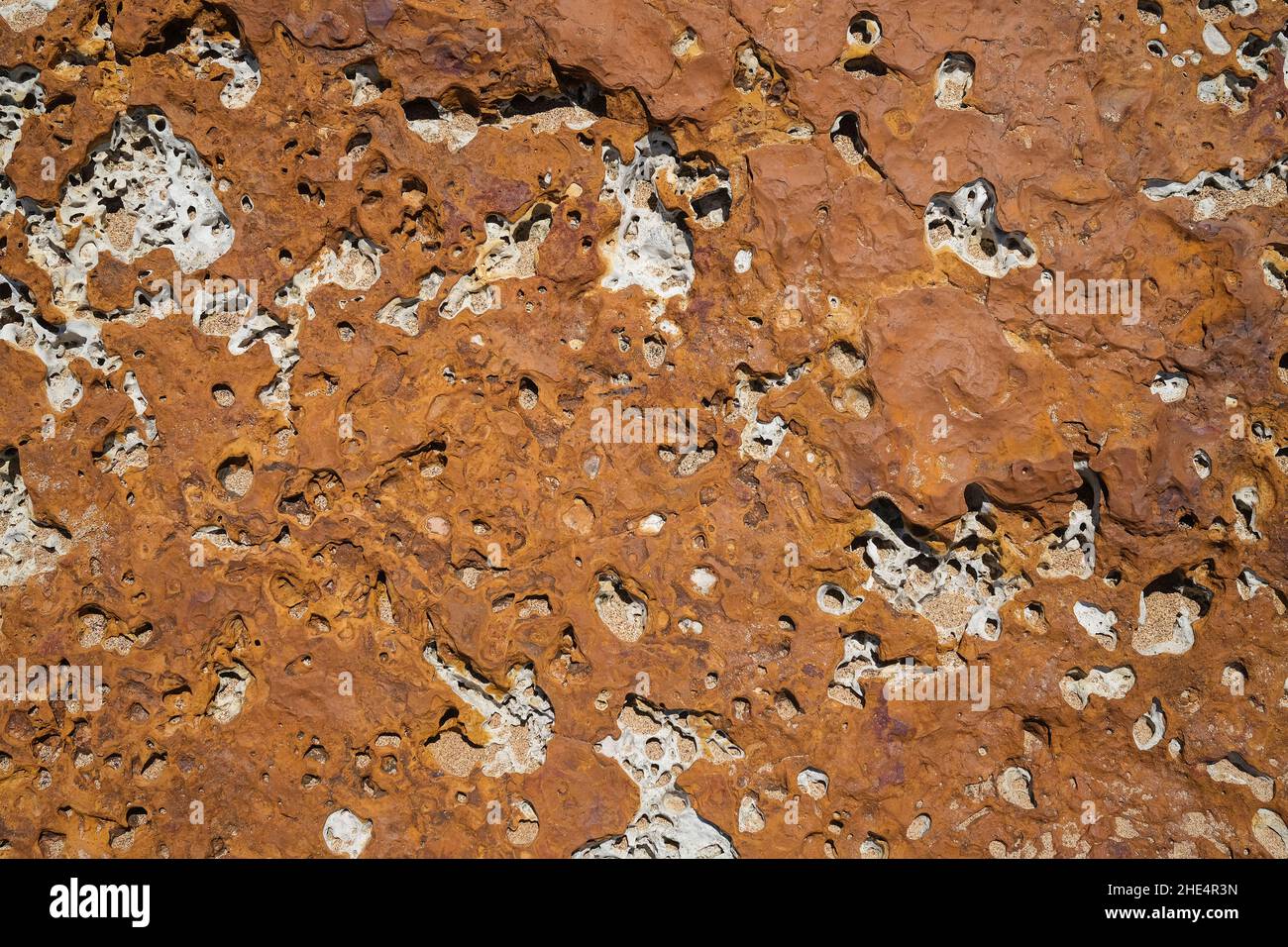 Close-up of rough rock surface at beach, for background Stock Photo - Alamy
