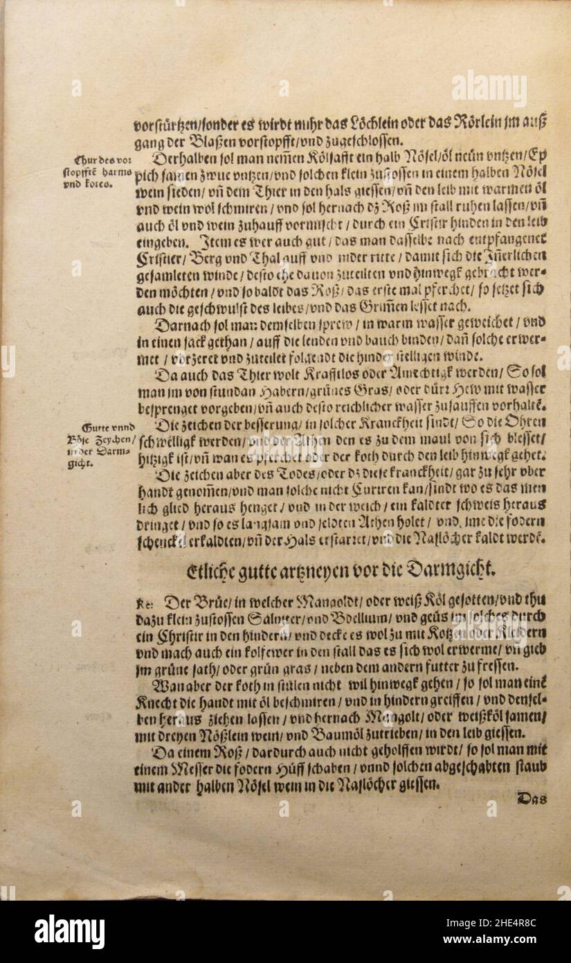 Ruel Von mancherley Gebrechen II 134 Stock Photo - Alamy