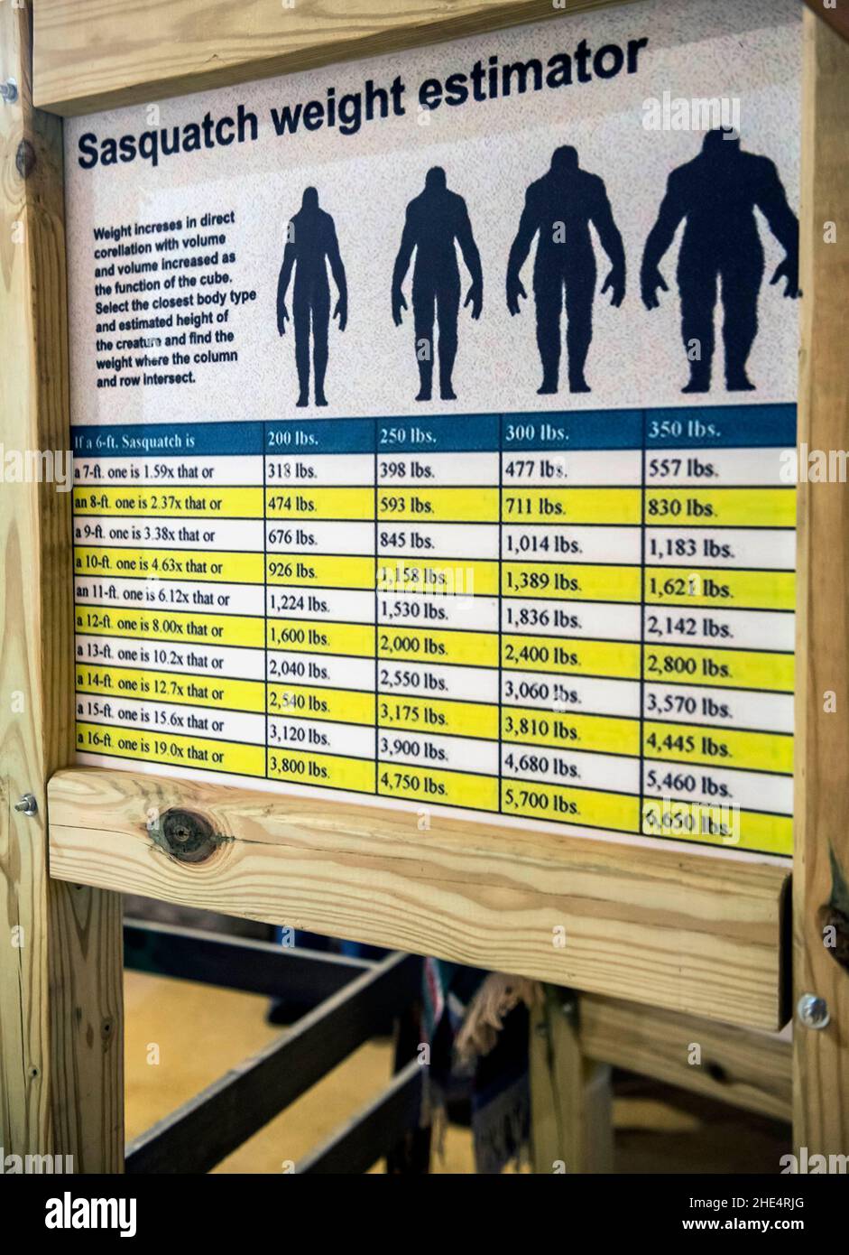 Sasquatch 2022 Poster