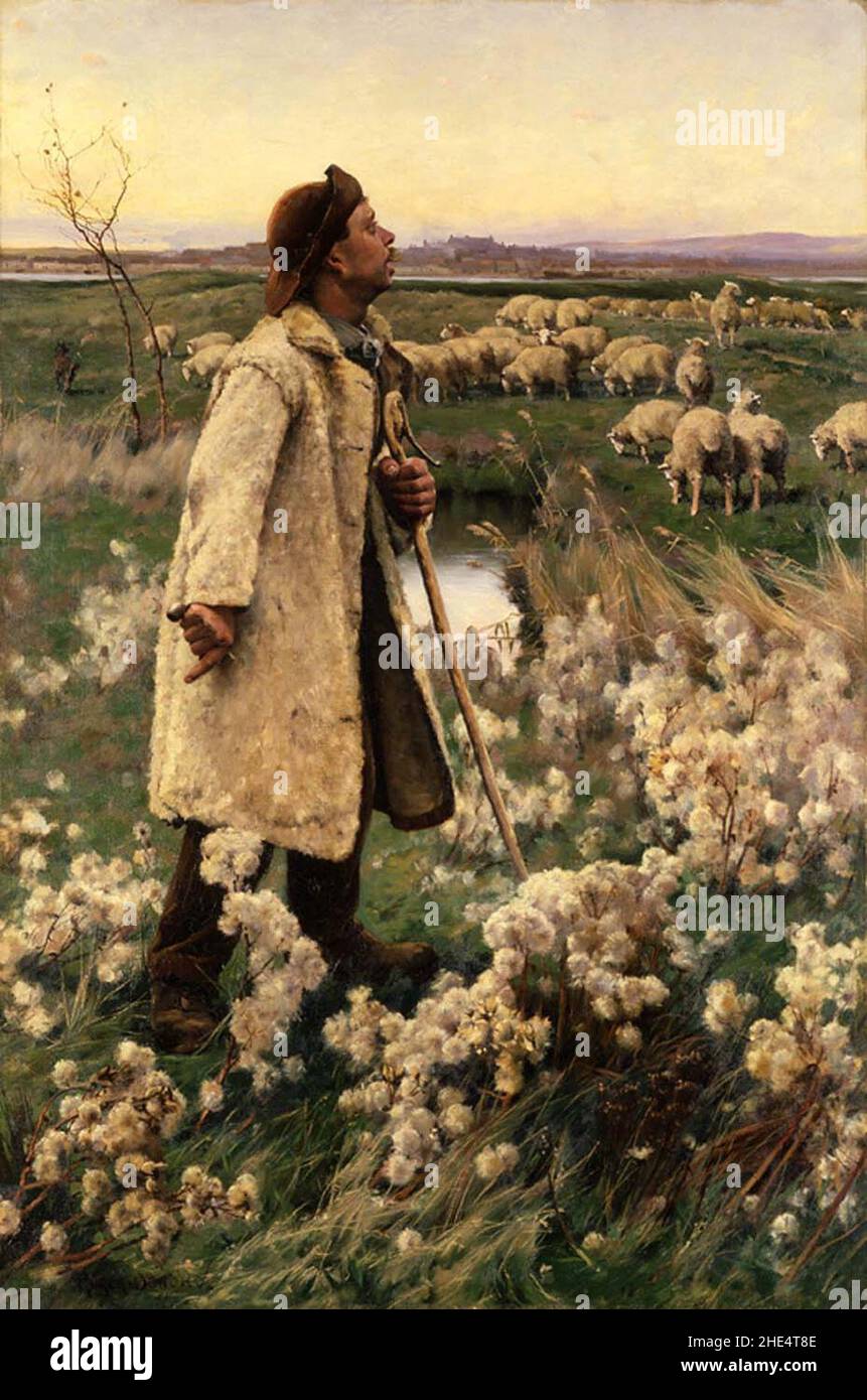 Ruger Donoho - Shepherd Stock Photo - Alamy