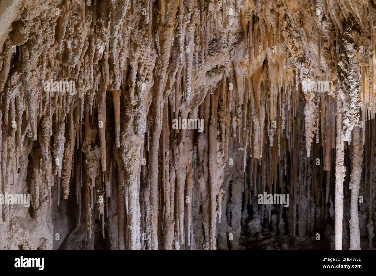 Soda Straw Stalactites Of Dolls Theater In Carlsbad Caverns National ...