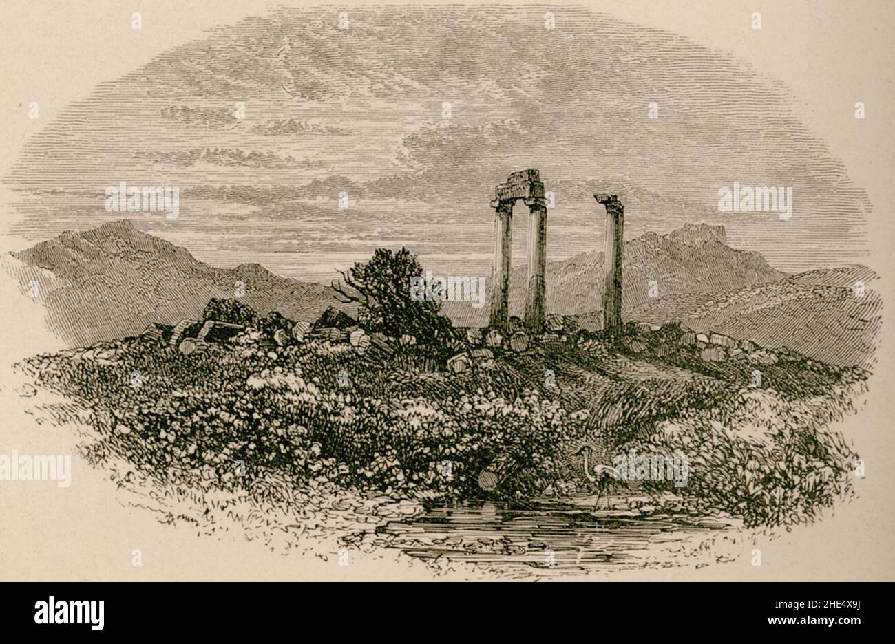 Ruins of the Temple of Zeus at Nemea - Wordsworth Christopher - 1882 ...