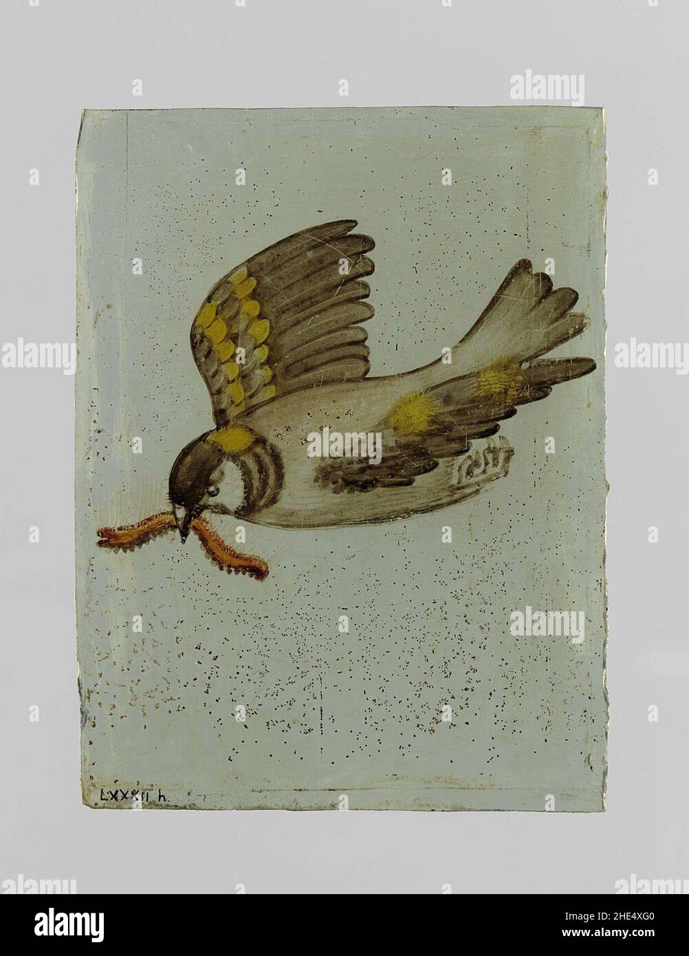 Ruit met een vliegende vogel met in zijn snavel een rups Stock Photo ...