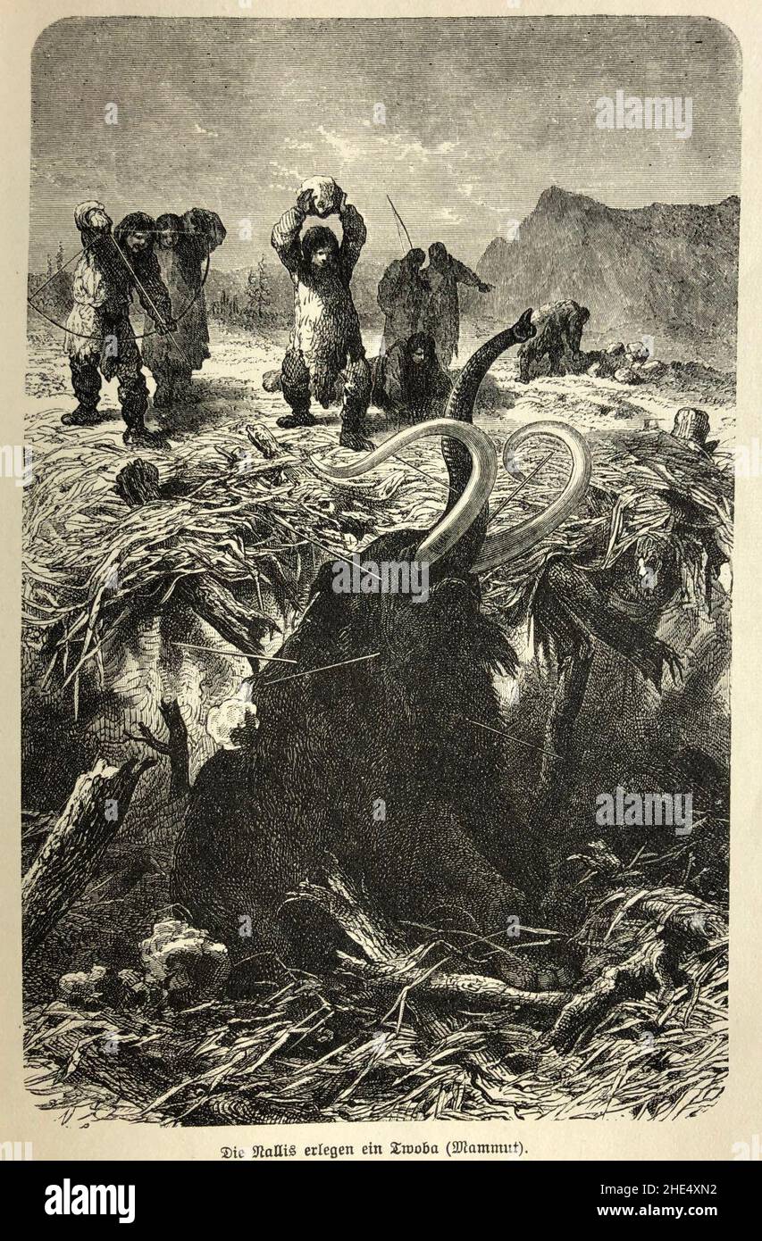 Rulaman Illustrationen - 5 von 34 Stock Photo - Alamy