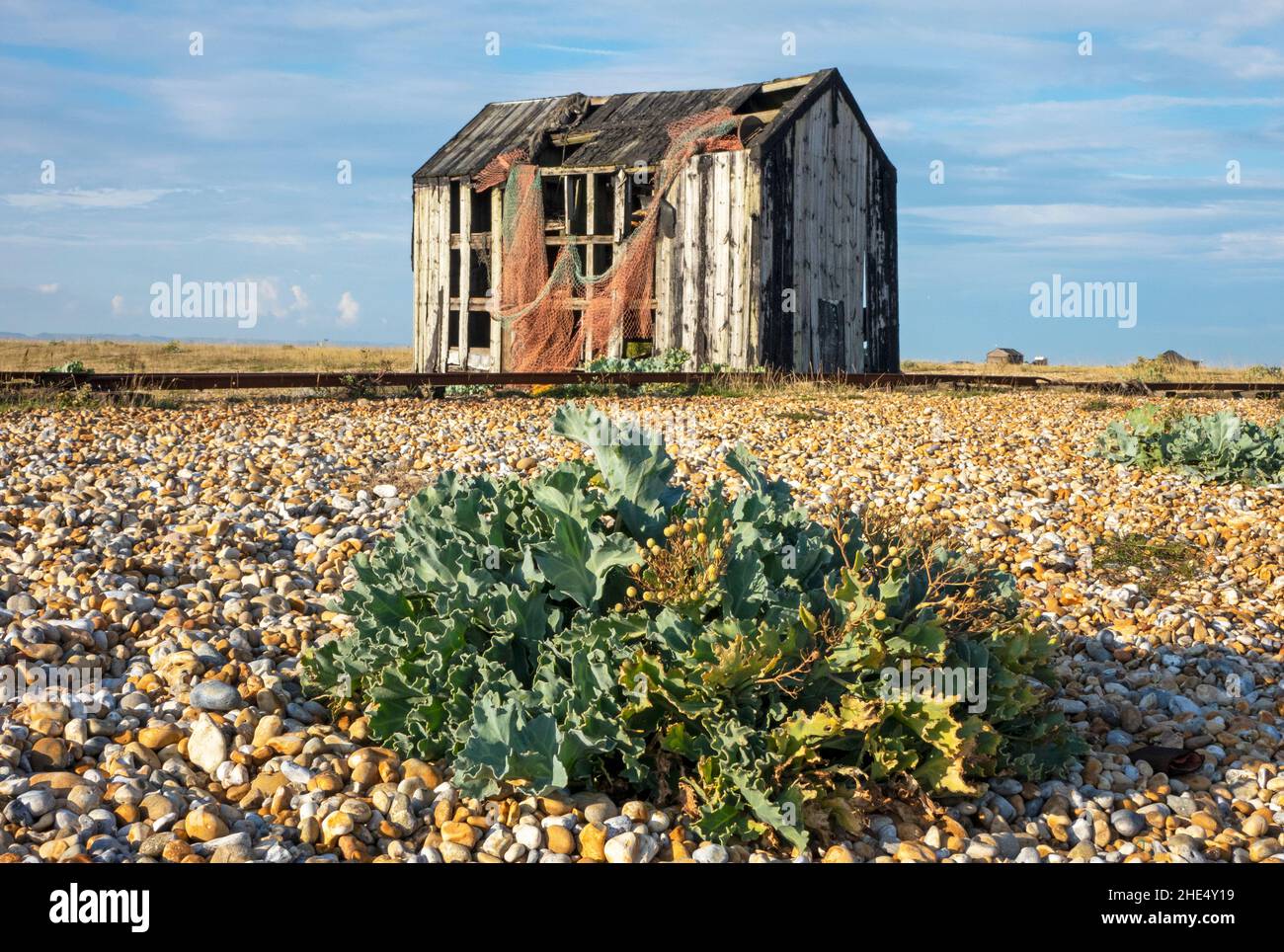 Abandoned shack on beach hi-res stock photography and images - Alamy