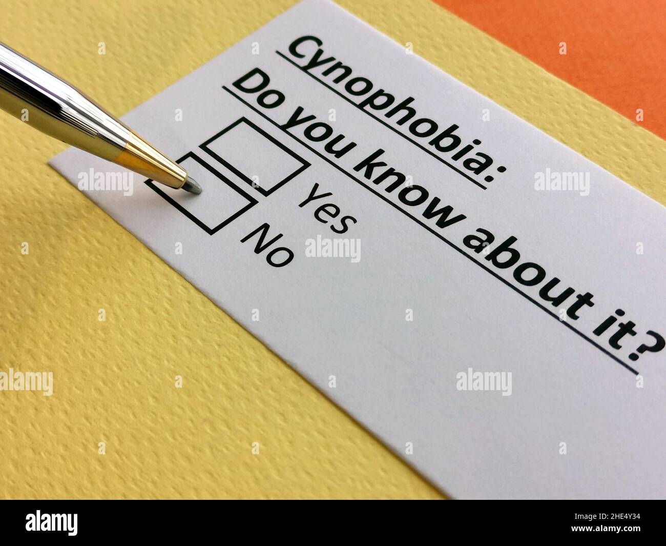 One person is answering question about cynophobia Stock Photo - Alamy