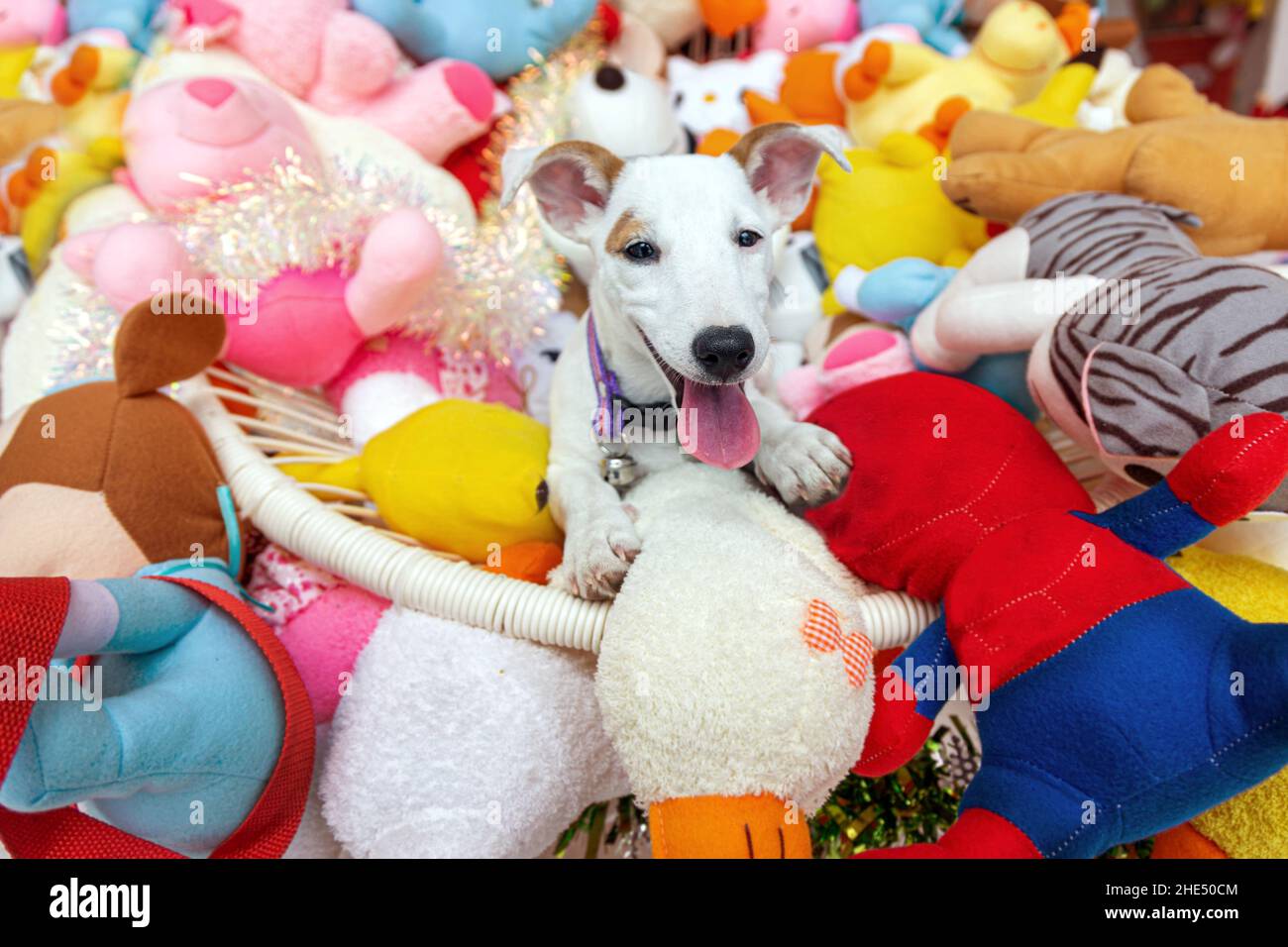 Real doll hi-res stock photography and images - Alamy