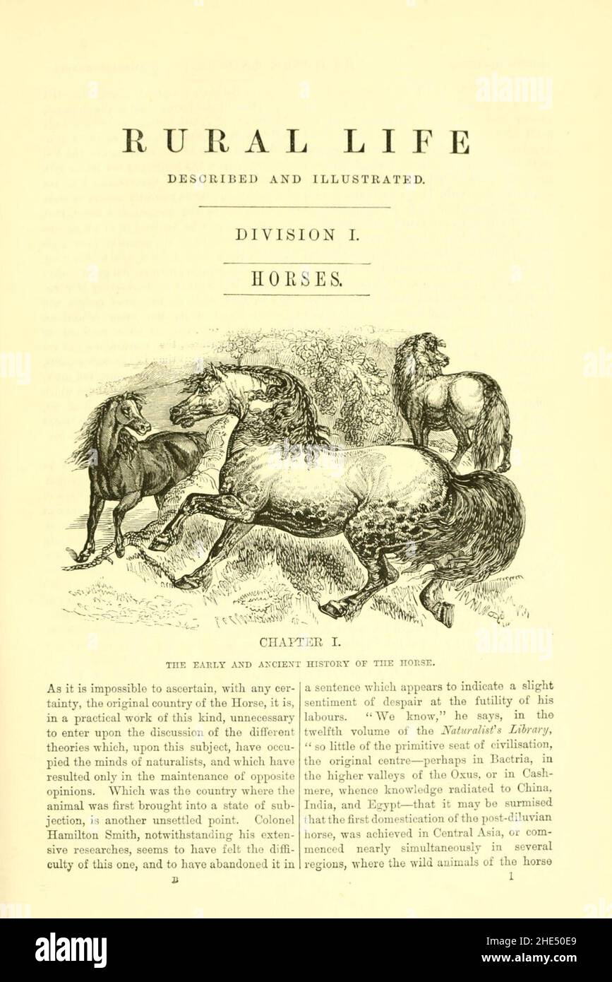 Rural life described and illustrated, in the management of horses, dogs ...