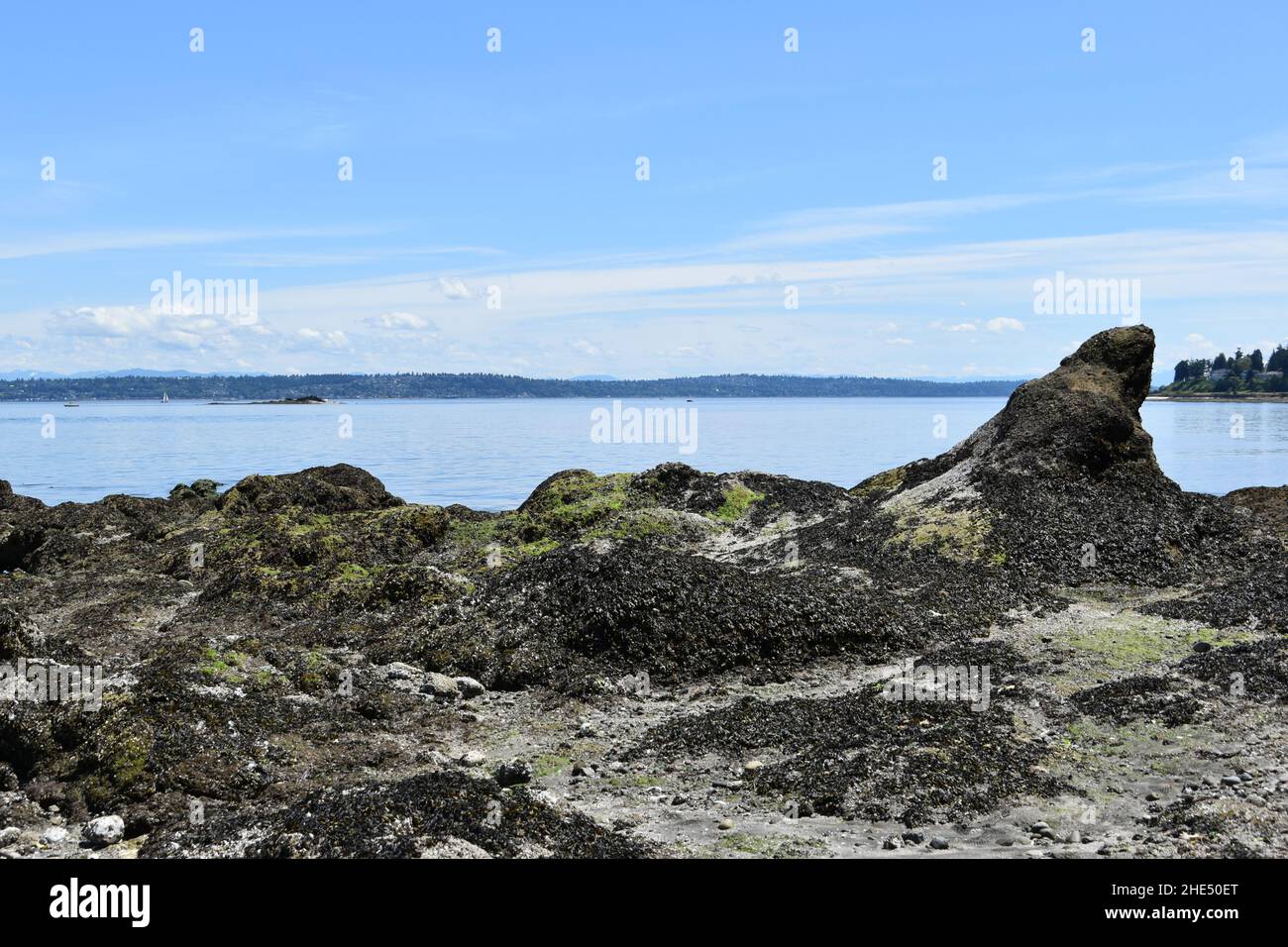 Beautiful Bainbridge Island, Washington Stock Photo - Alamy