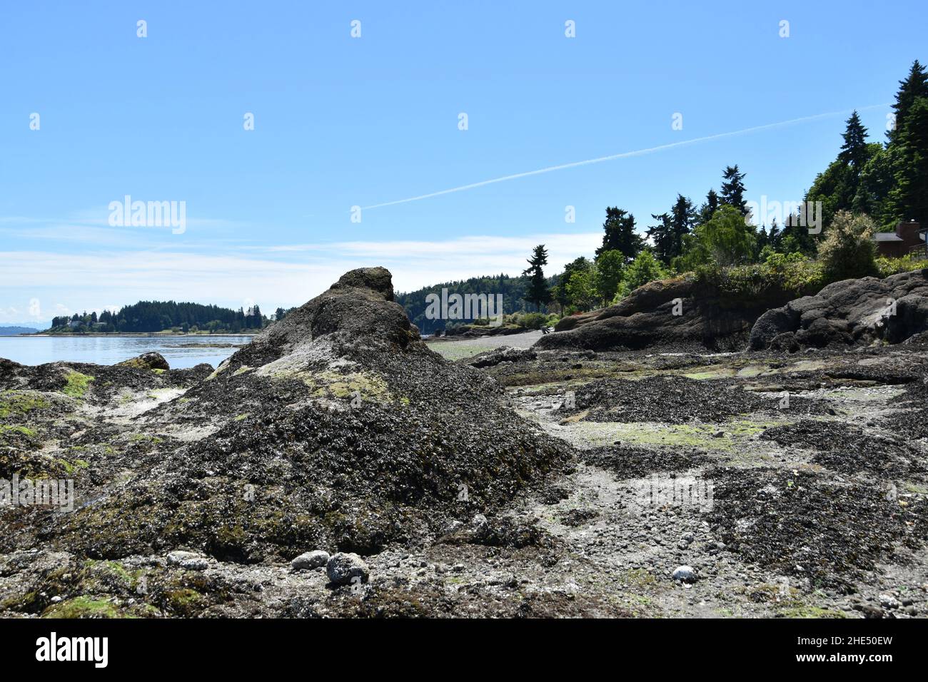Beautiful Bainbridge Island, Washington Stock Photo - Alamy