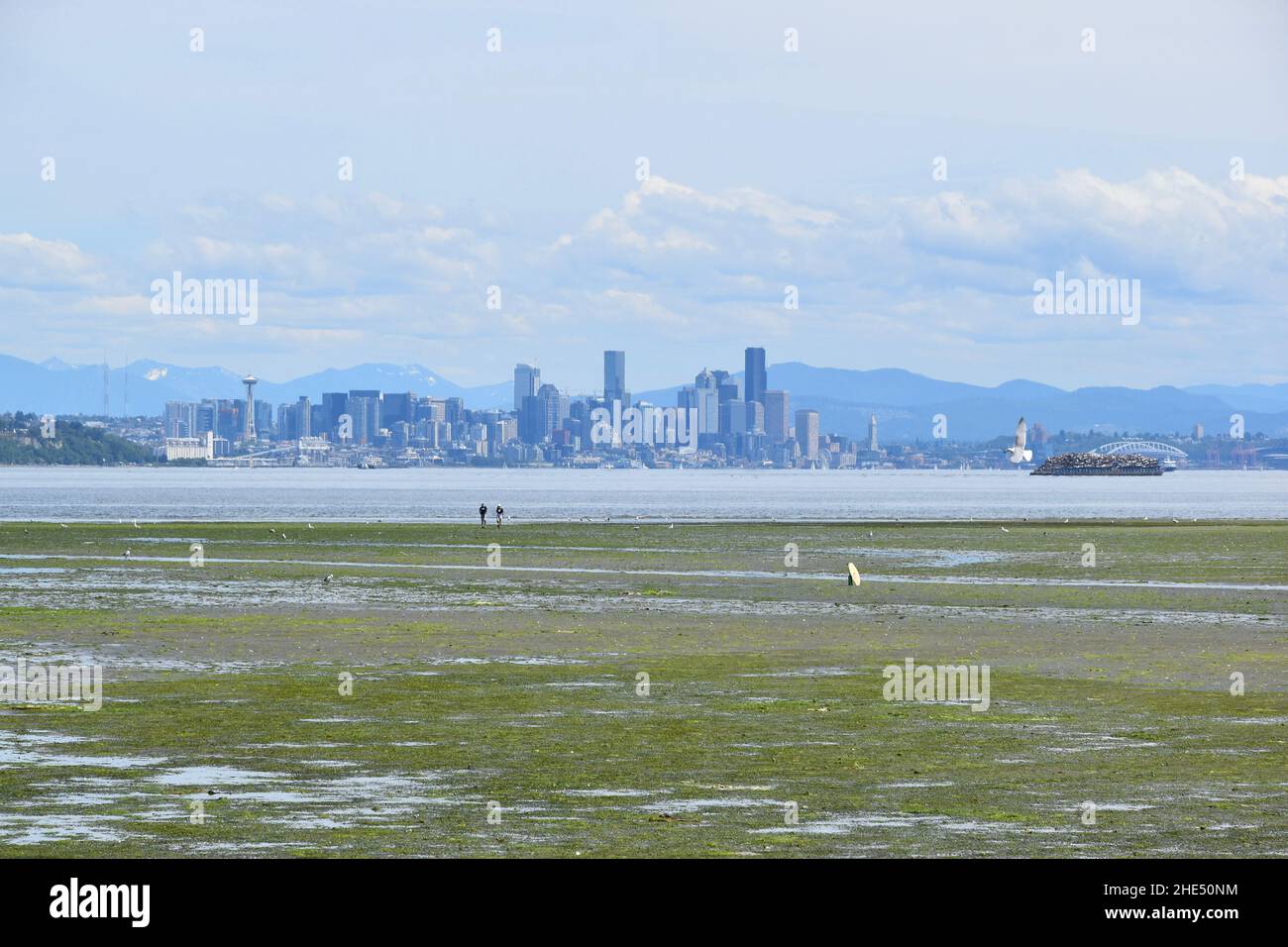 The Seattle Skyline as seen from Bainbridge Island across Elliot Bay in ...