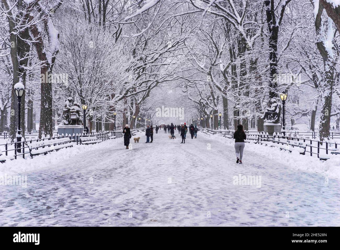 January Snow Light Snow Makes Its Way To New York City