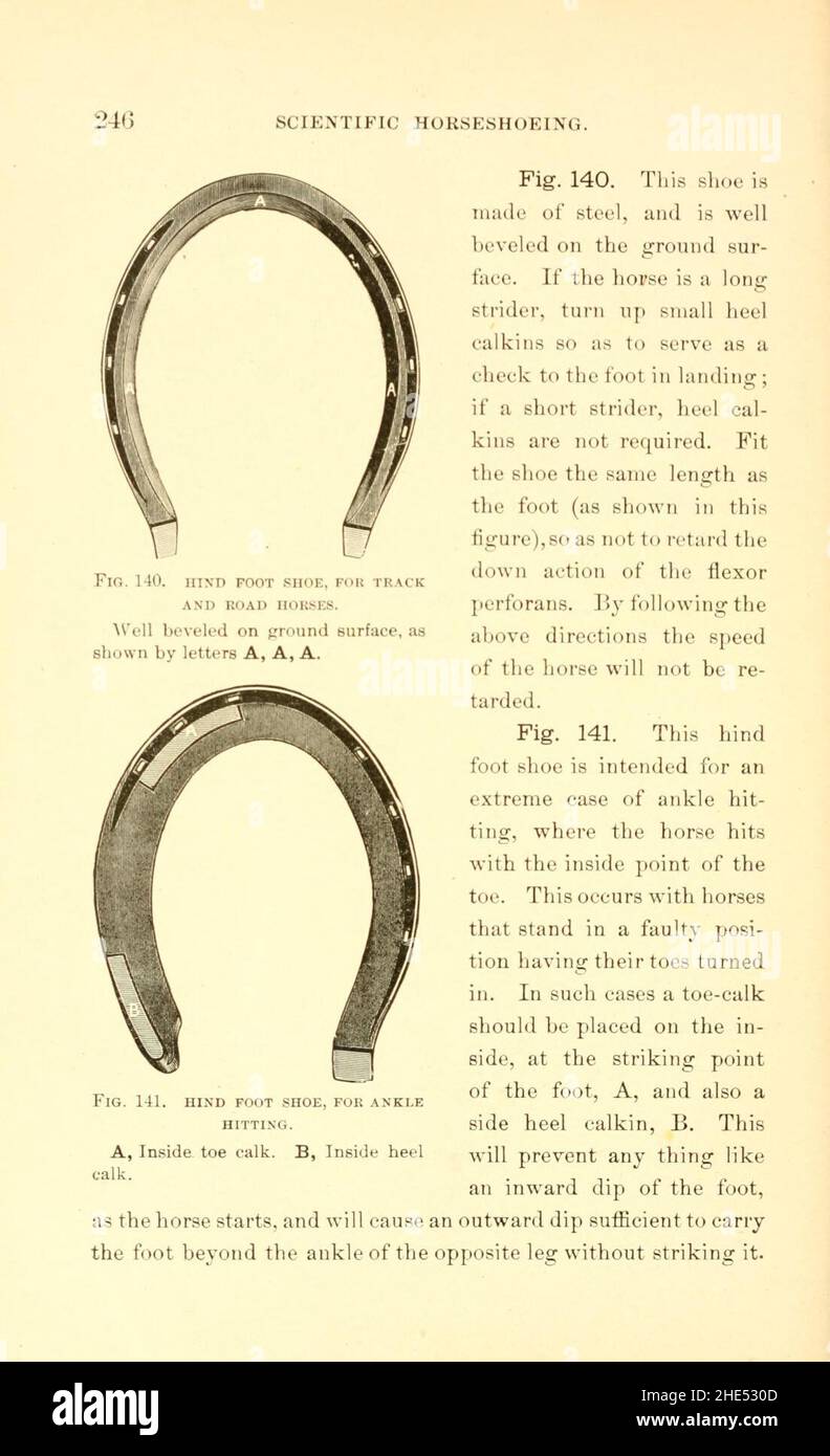 Russell on scientific horseshoeing for leveling and balancing the ...