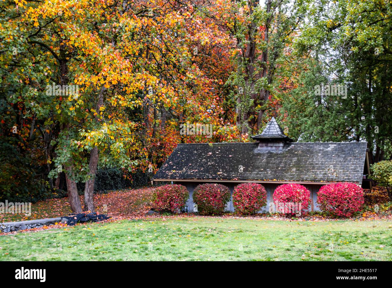 Beautiful autumn trees hiding a small building in a park. Stunning ...
