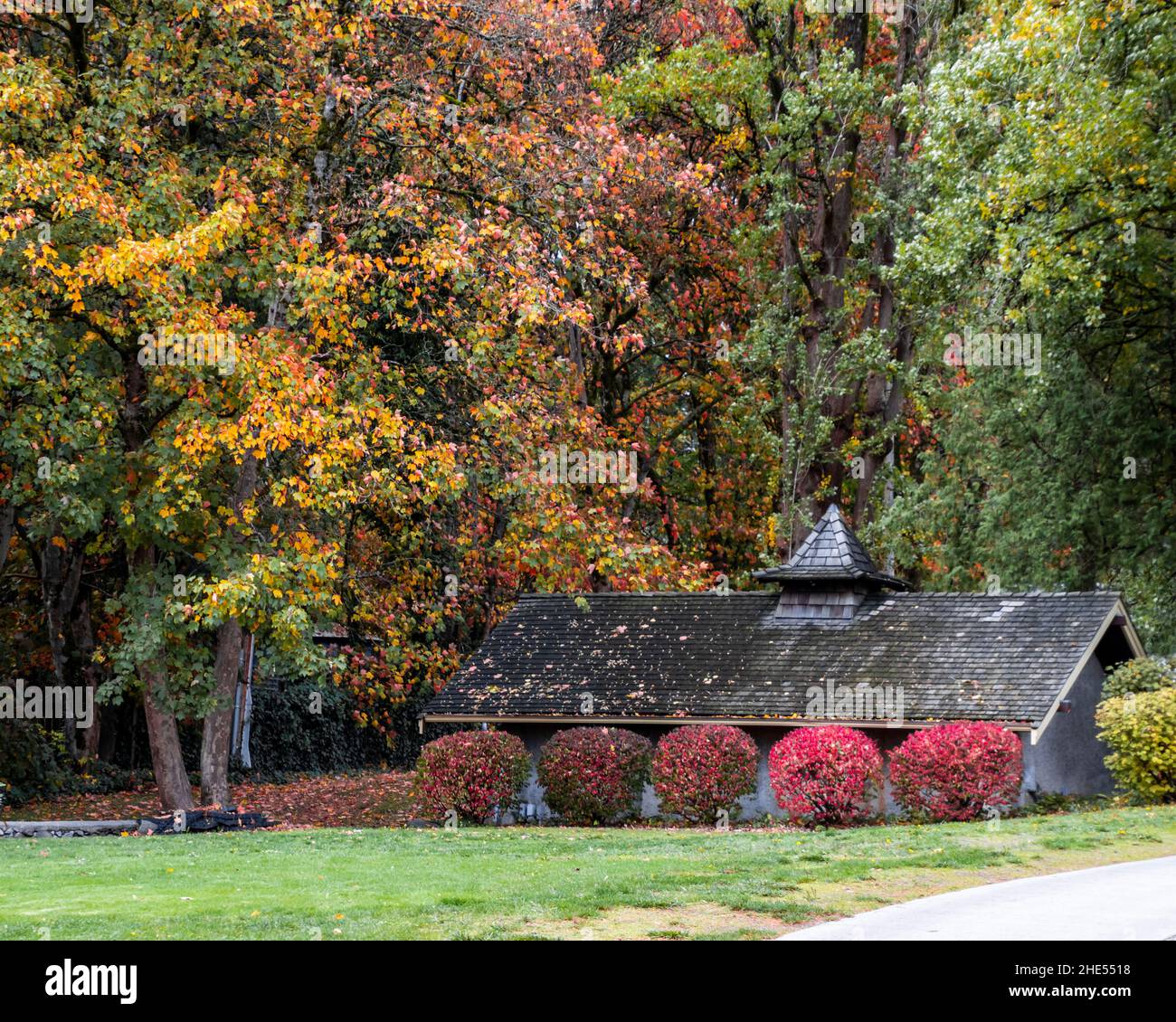 Beautiful autumn trees hiding a small building in a park. Stunning ...