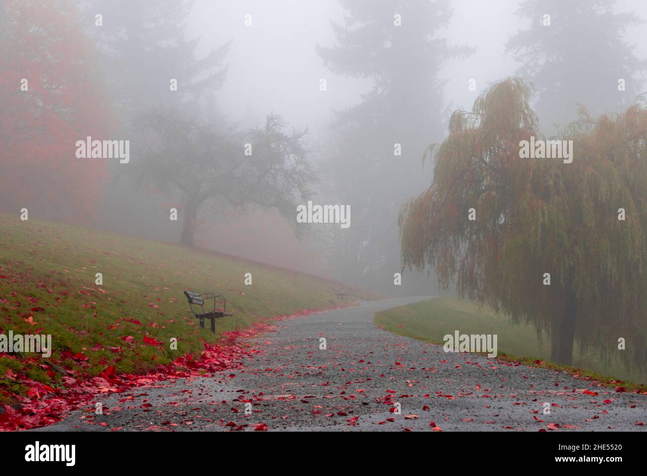 Beautiful autumn park scene. Stunning trees with red, yellow orange ...