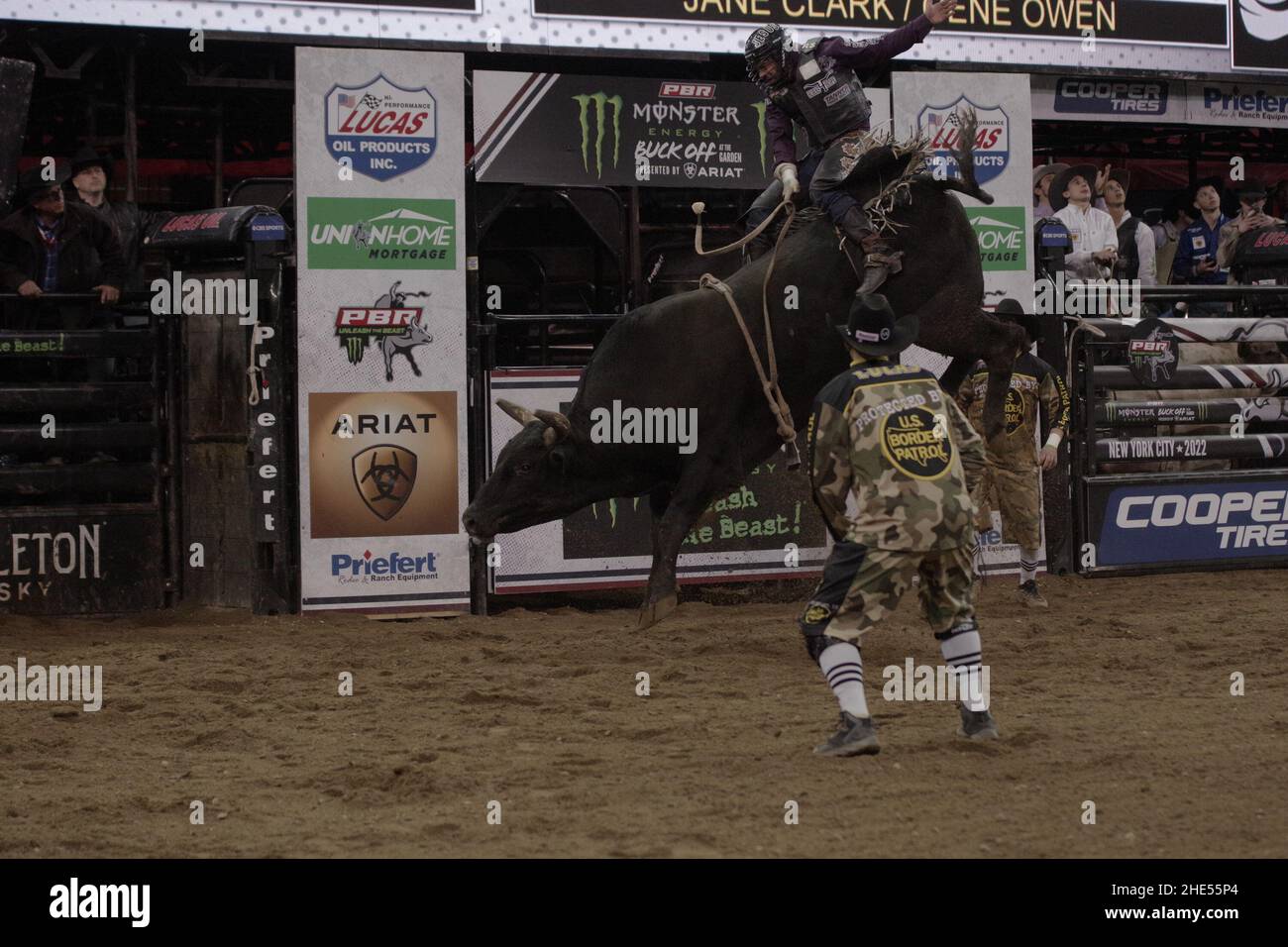 Professional bull riders 2022 hi-res stock photography and images - Alamy