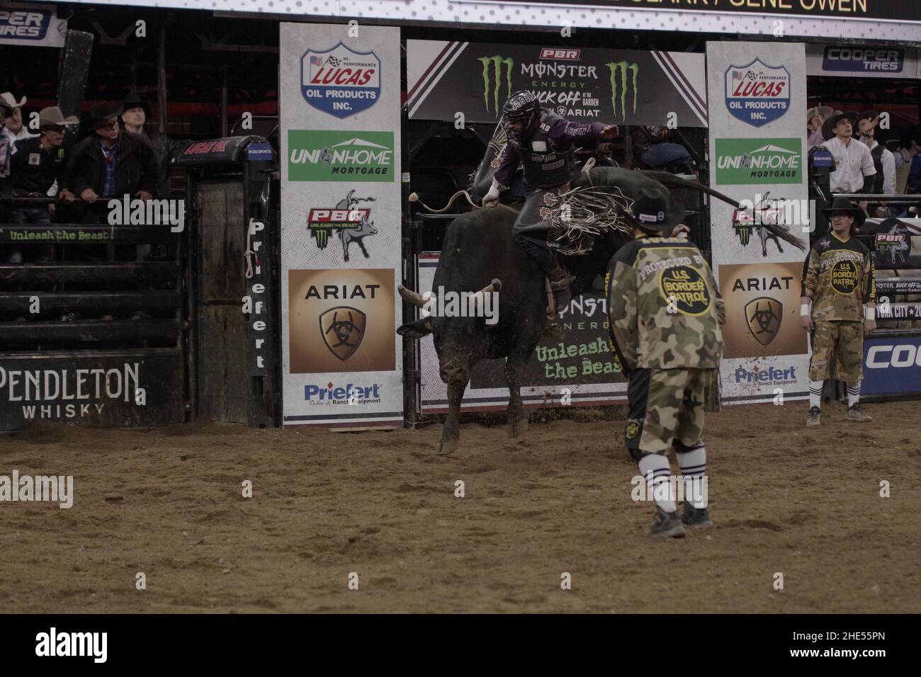 Professional bull riders 2022 hi-res stock photography and images - Alamy