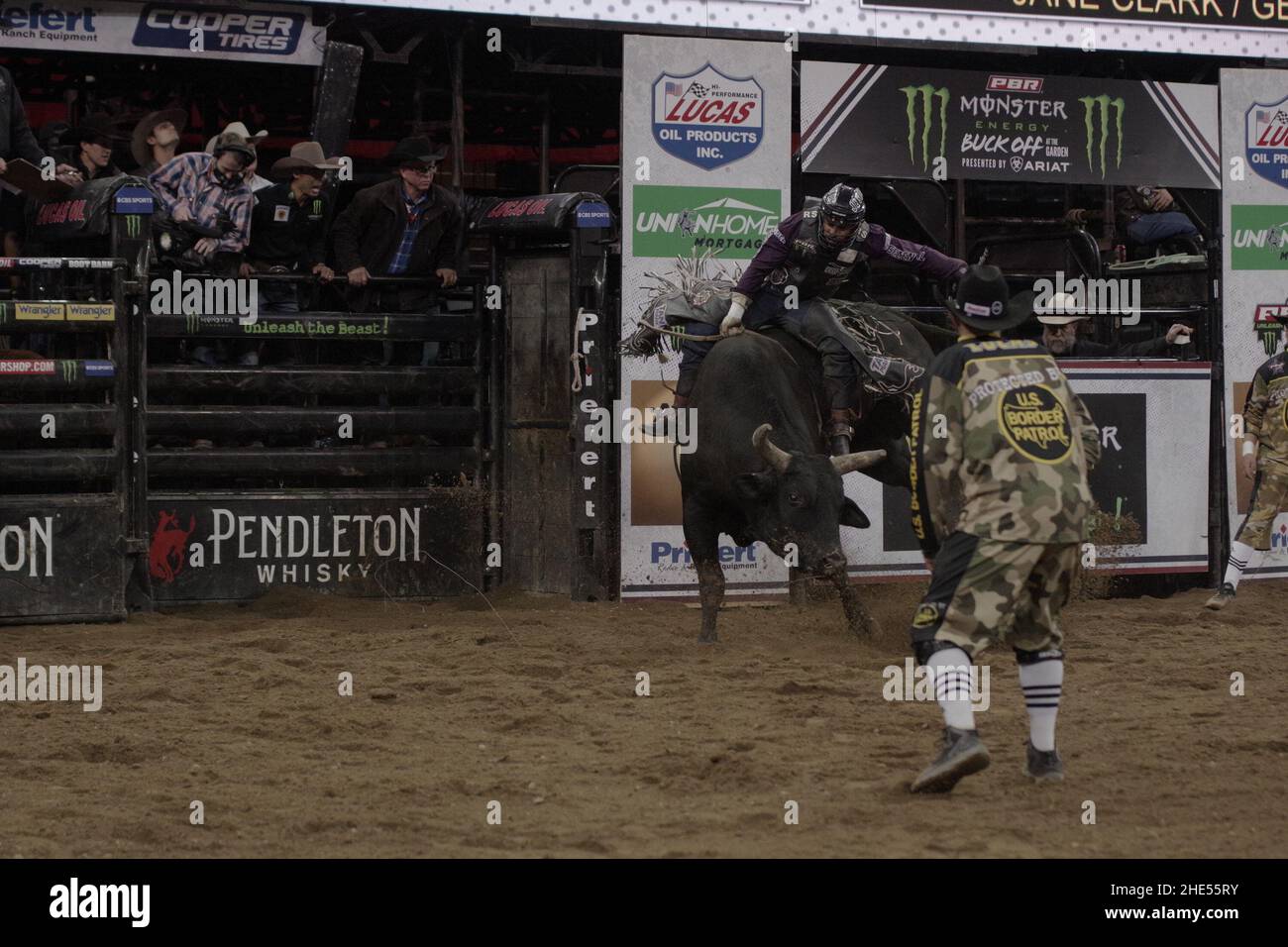 Professional bull riders 2022 hi-res stock photography and images - Alamy