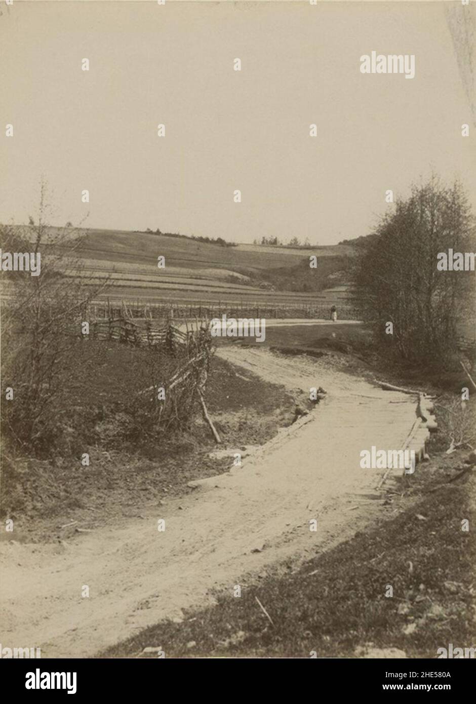 Rutka hi-res stock photography and images - Alamy