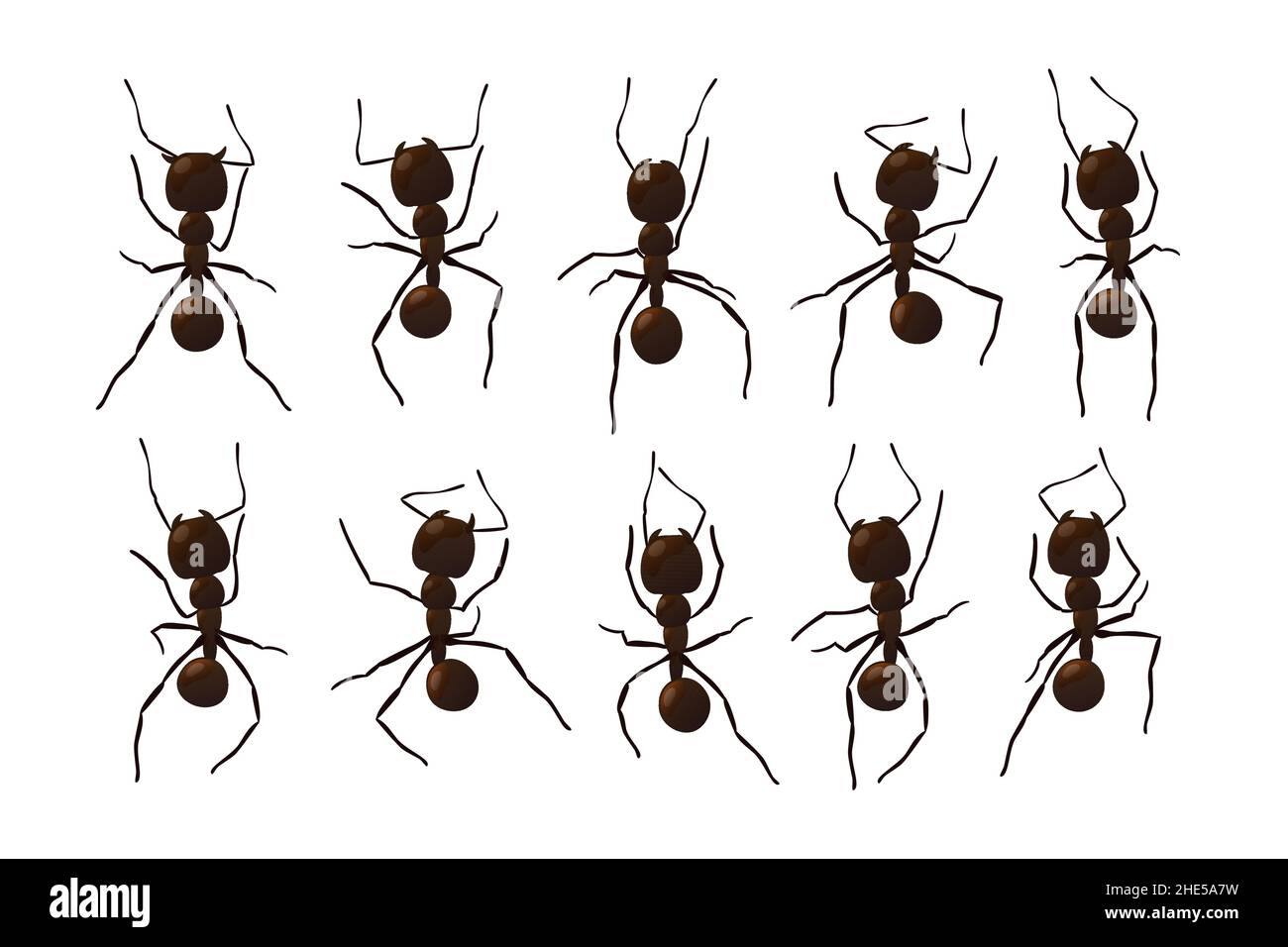Marching Ant Clipart
