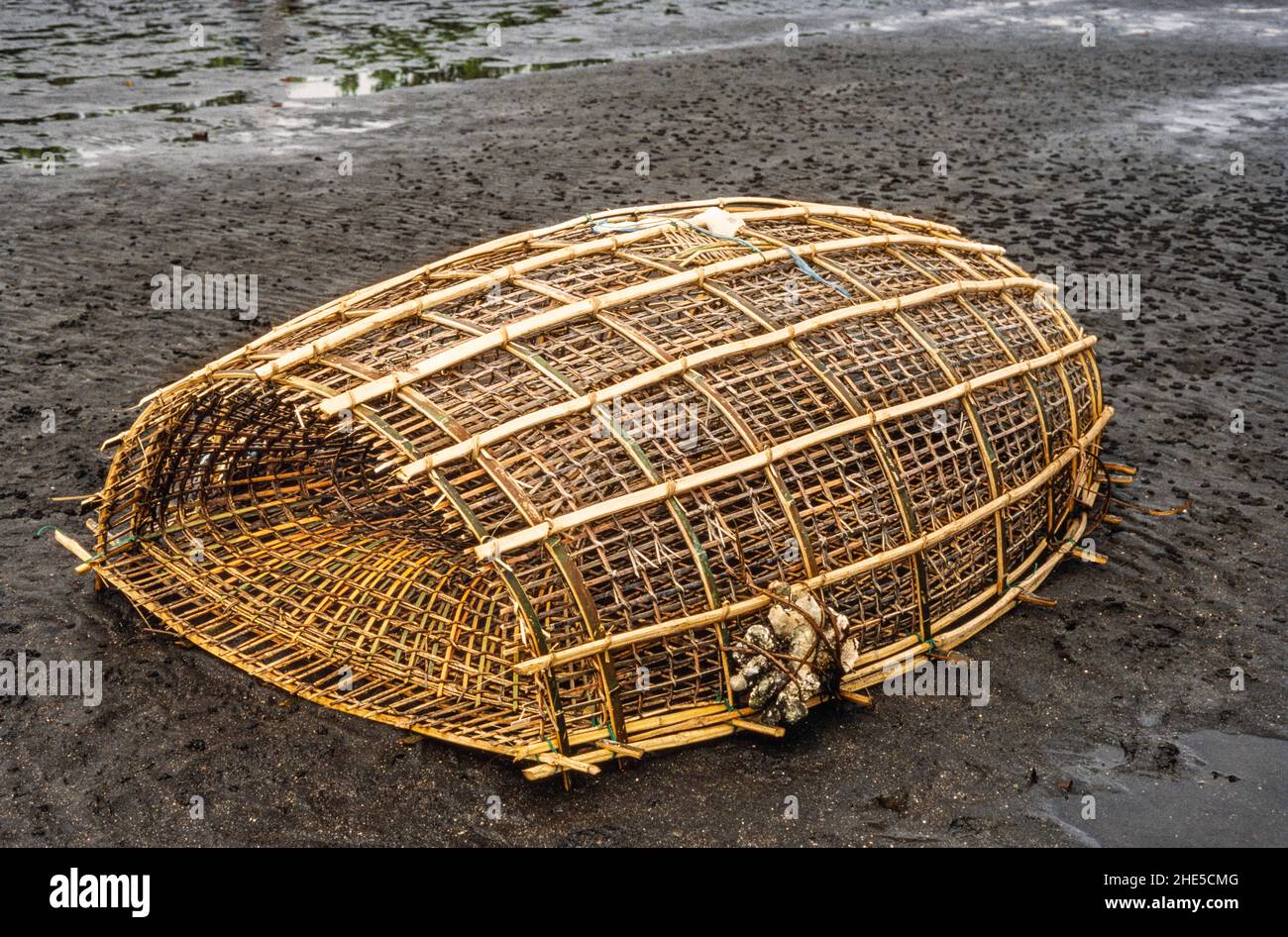A traditional woven bamboo fishing trap on a volcanic black sand beach ...