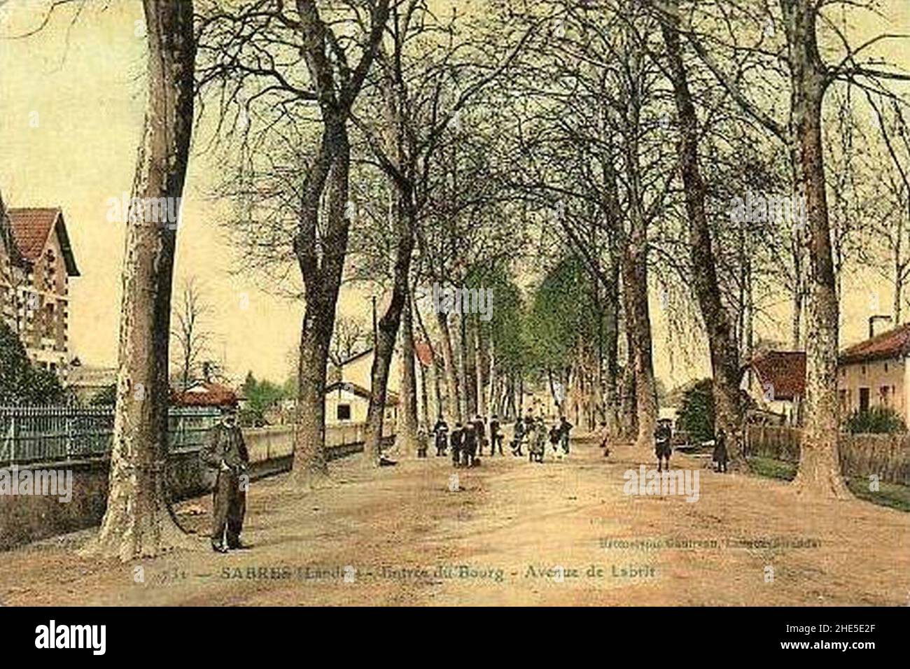 Labrit hi-res stock photography and images - Alamy