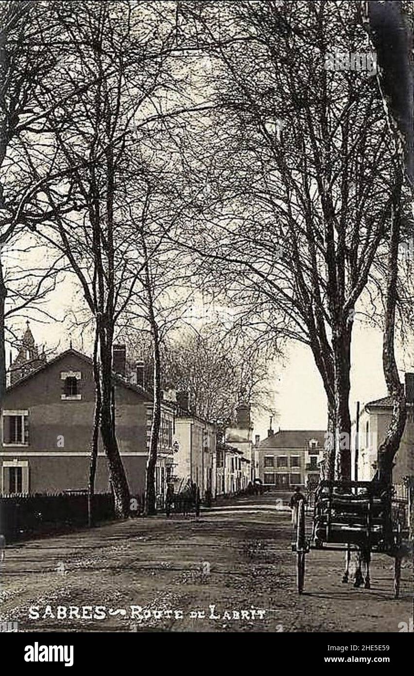 Labrit hi-res stock photography and images - Alamy