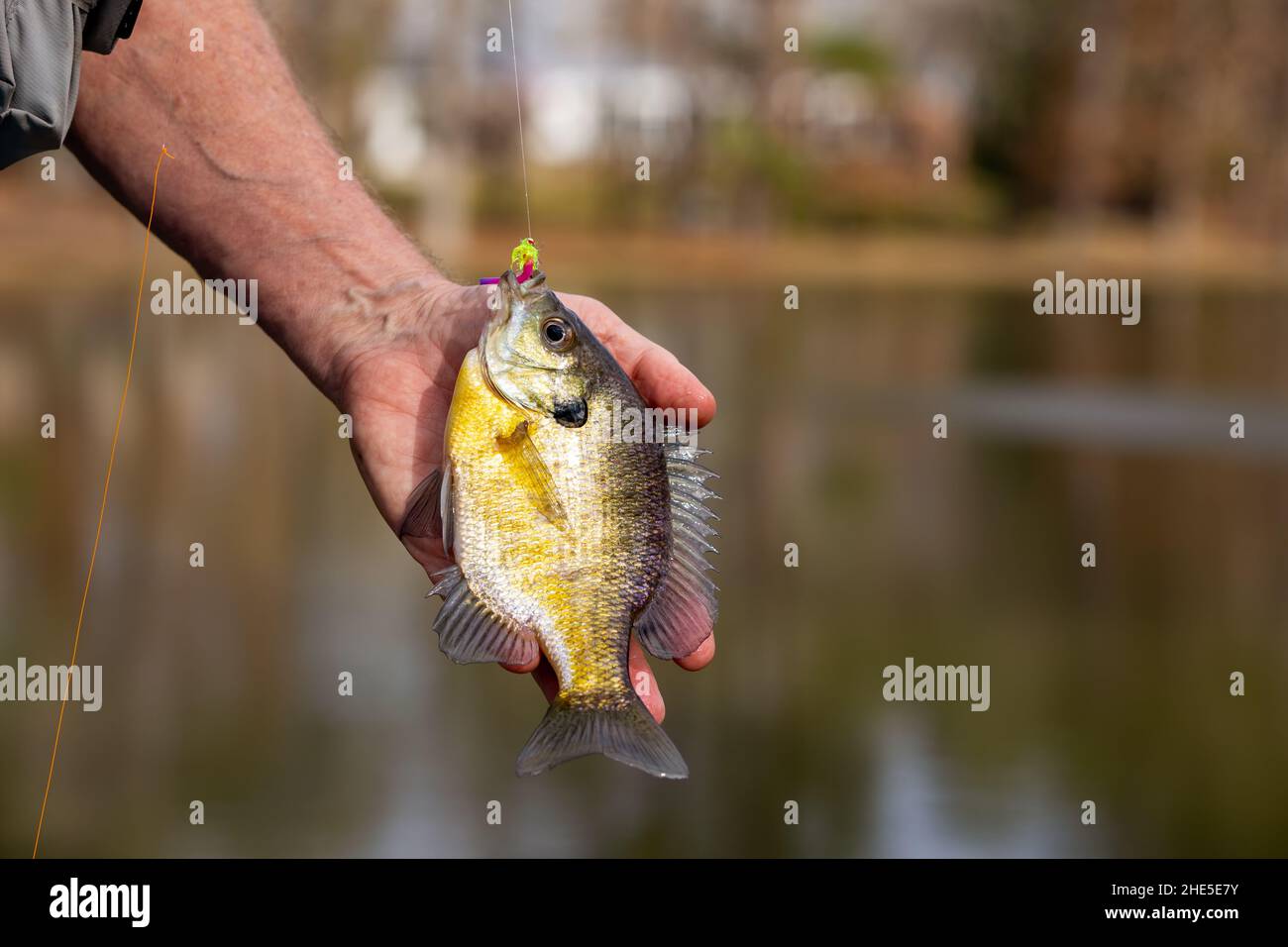 Hand caught fish hi-res stock photography and images - Alamy