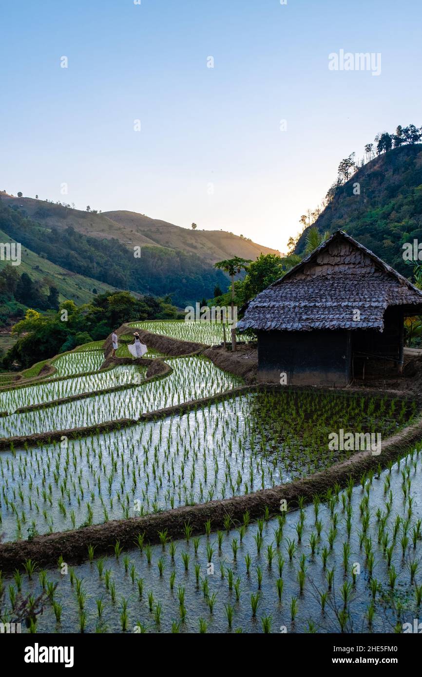 rice fields in Northern Thailand, rice farms in Thailand, rice paddies ...