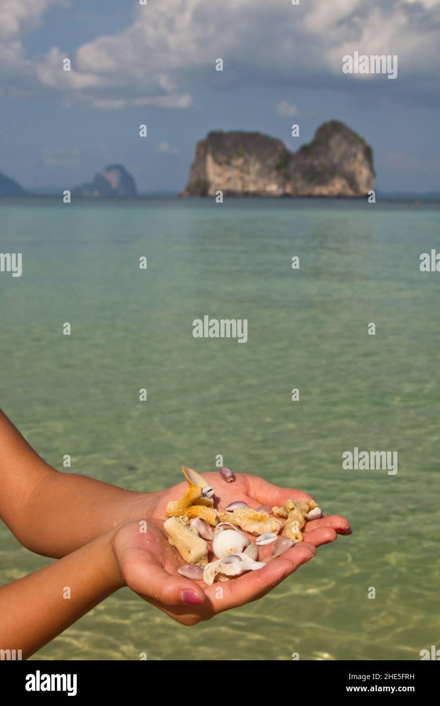 Collecting shells at the beach hi-res stock photography and images - Alamy