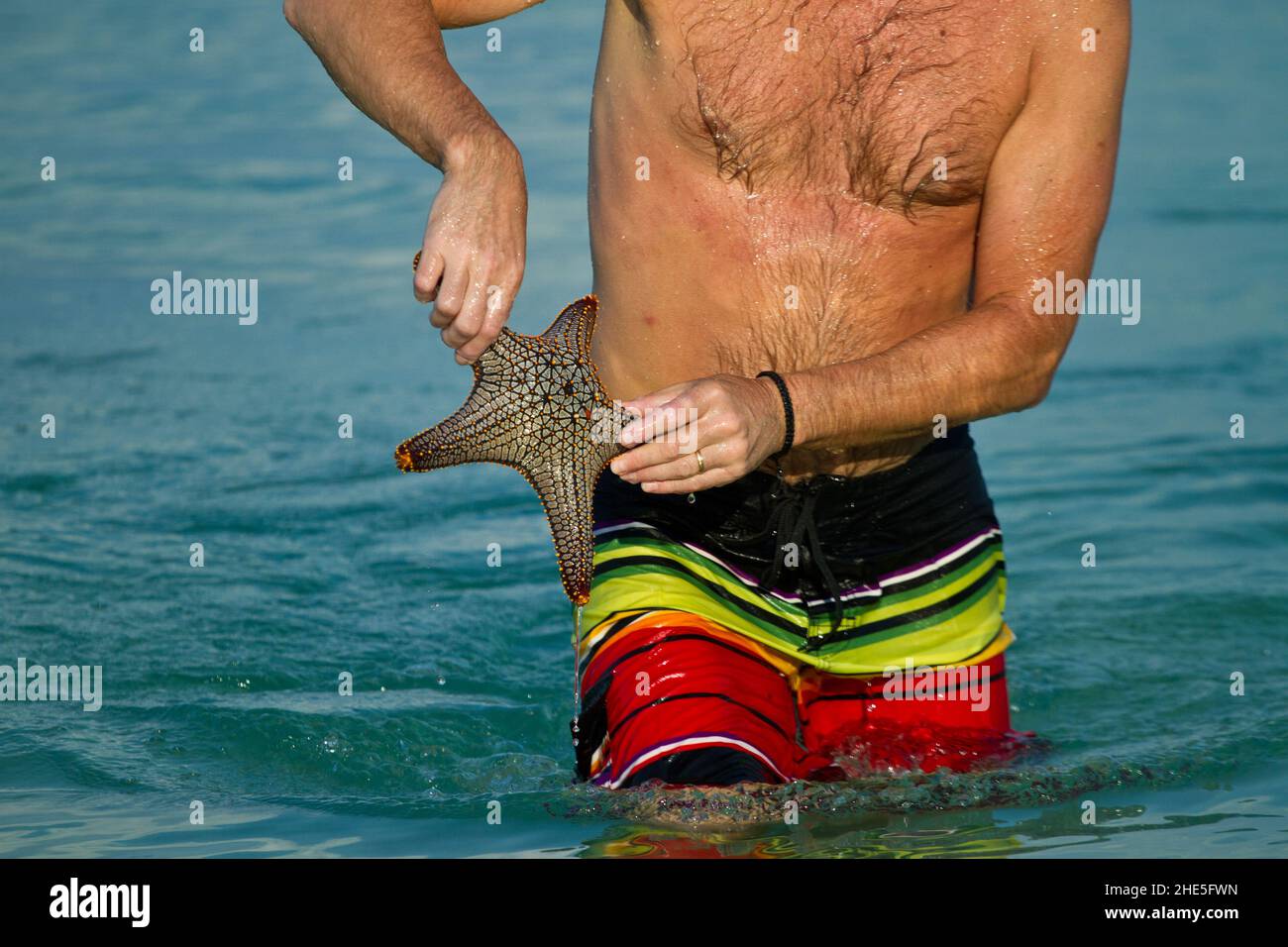 Man holding a very beautiful starfish at the beach in Thailand Stock ...