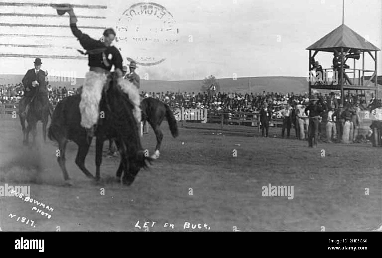 Saddle bronc rider wearing angora chaps at the Round-Up in Pendleton ...