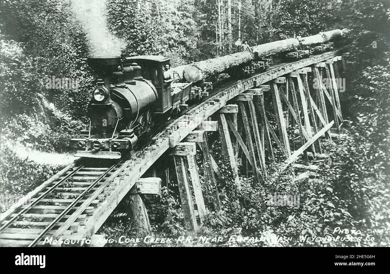 Saddletank locomotive 'Rattler' on B.F. Brock's Mosquito & Coal Creek ...