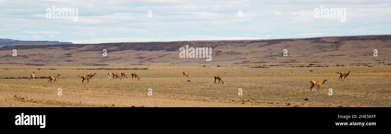 Andes foothills hi-res stock photography and images - Alamy