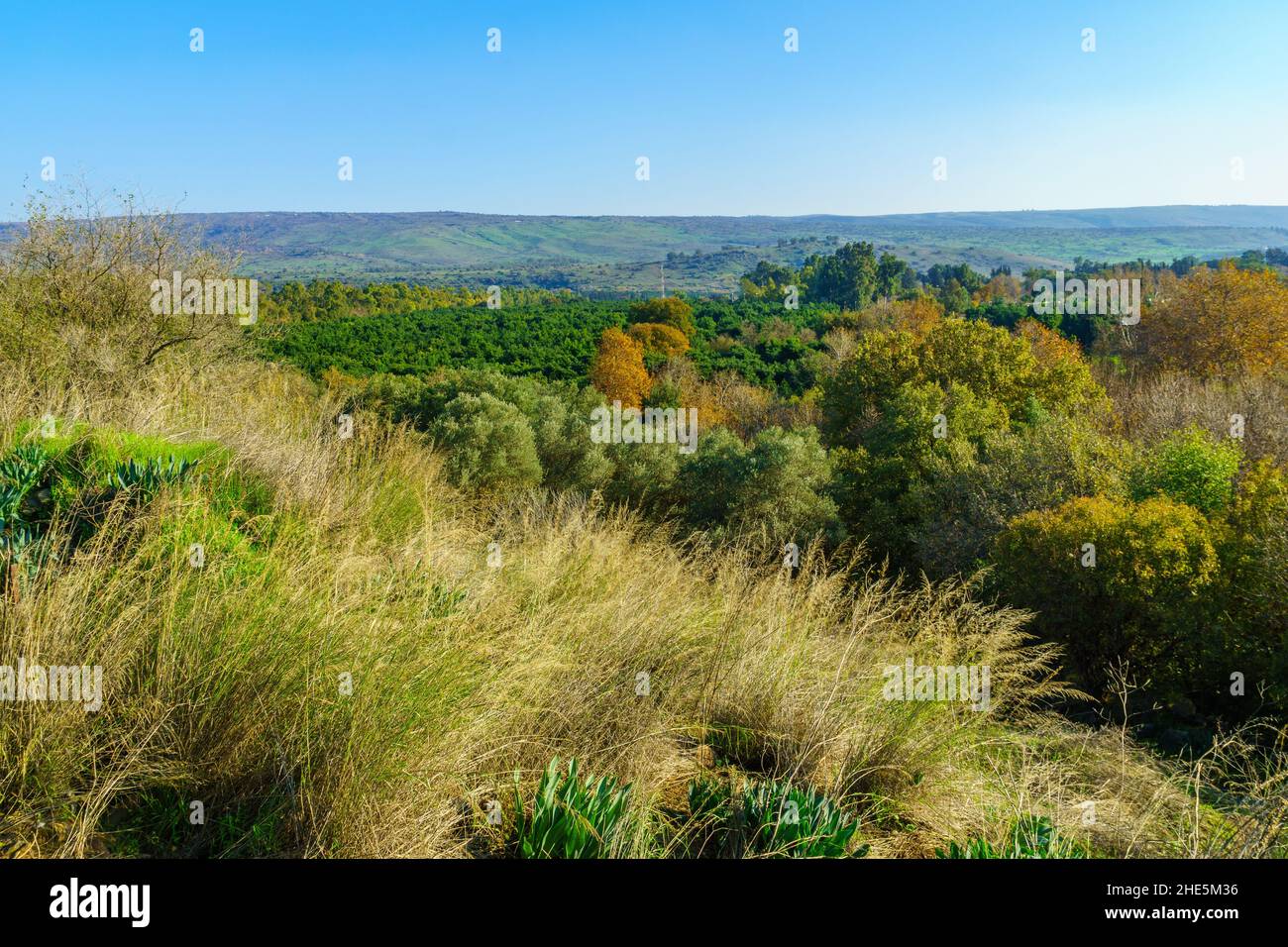 Tel dan nature reserve israel hi-res stock photography and images - Alamy