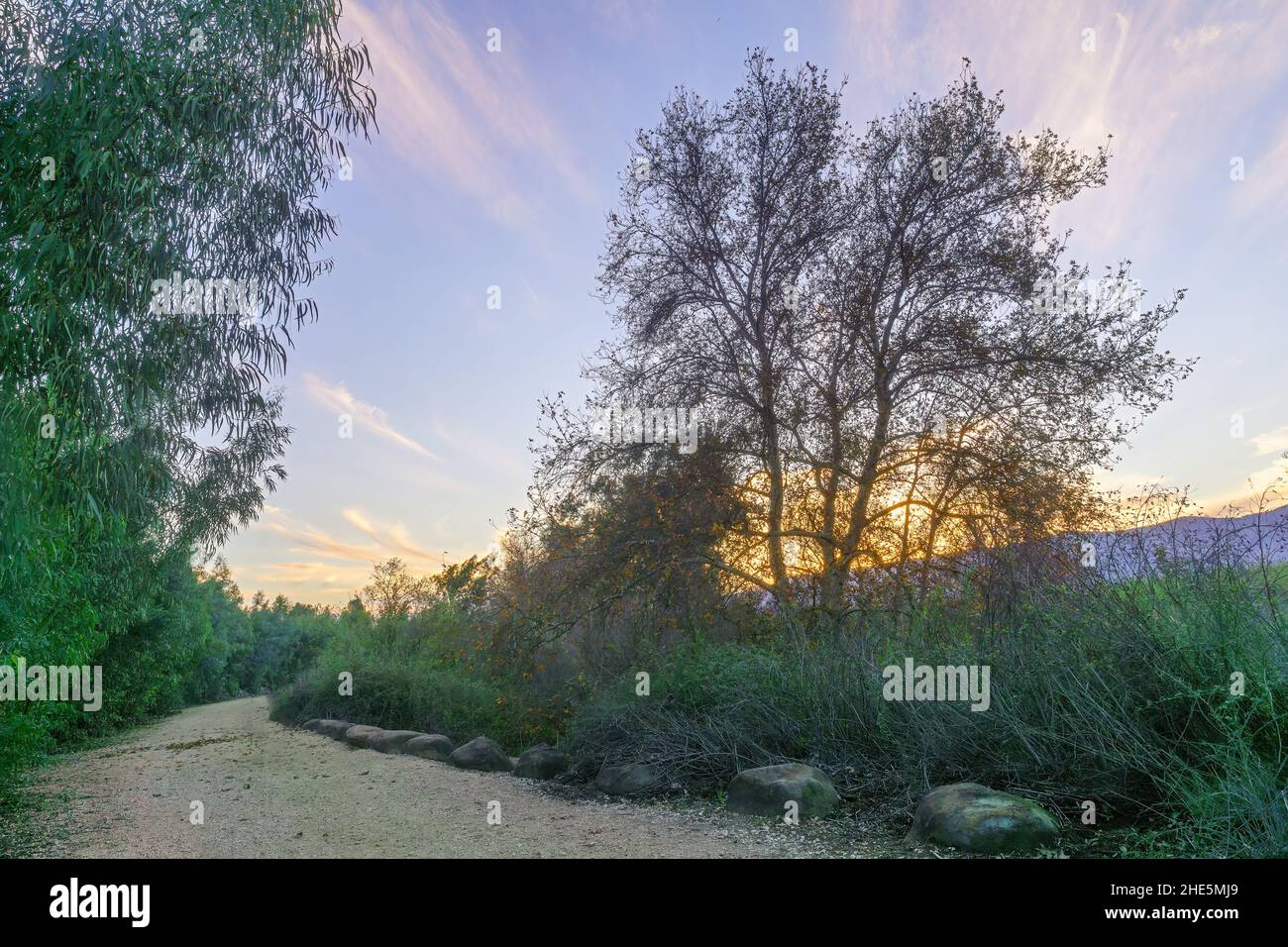Sunset view of the origin point of the Jordan river, were the streams ...