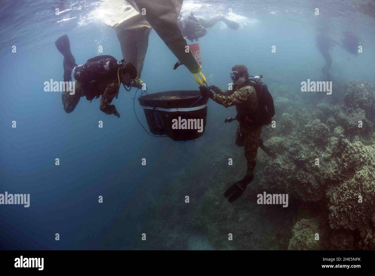 Reef repair hi-res stock photography and images - Alamy